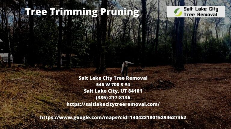 Tree Trimming & Pruning | Salt Lake City Tree Service